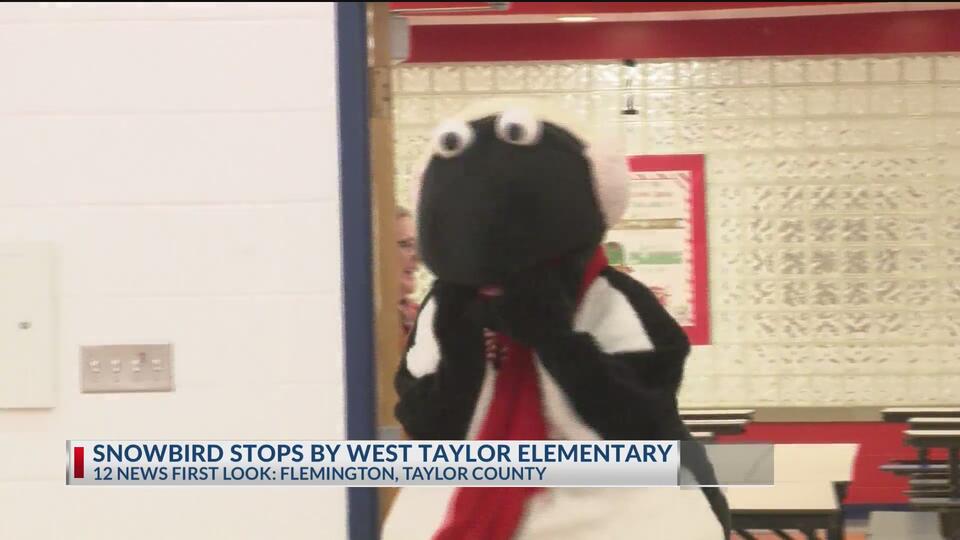 Snowbird makes first appearance at West Taylor Elementary - NewsBreak