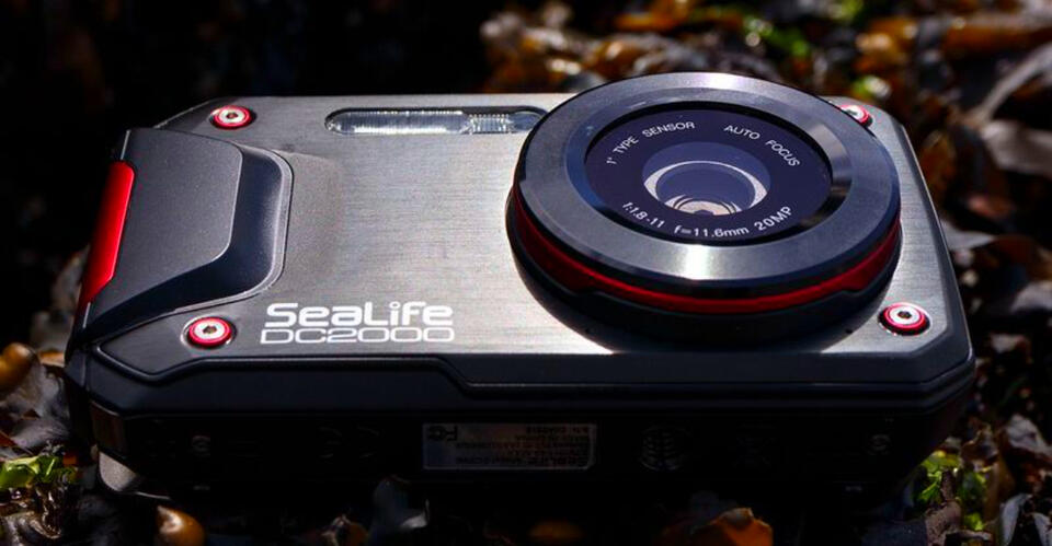 15 Rugged Cameras That Survive Mud, Rain, and Rock Scrapes - NewsBreak