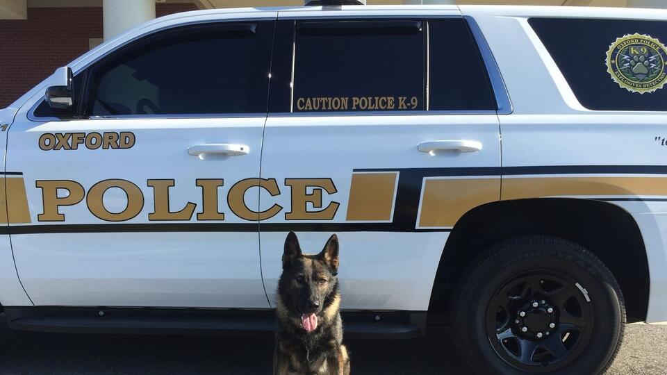 Oxford police says farewell to longtime K-9 explosives officer - NewsBreak