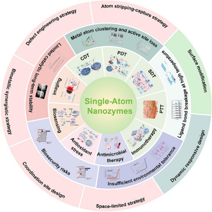 Innovative strategies to overcome stability challenges of single‑atom ...