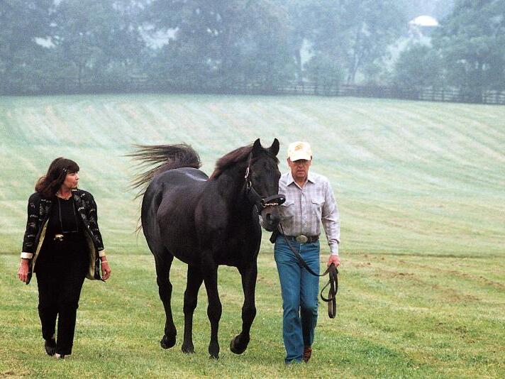 Triple Crown Turning Point: Seattle Slew, a Great Horse with Humble ...