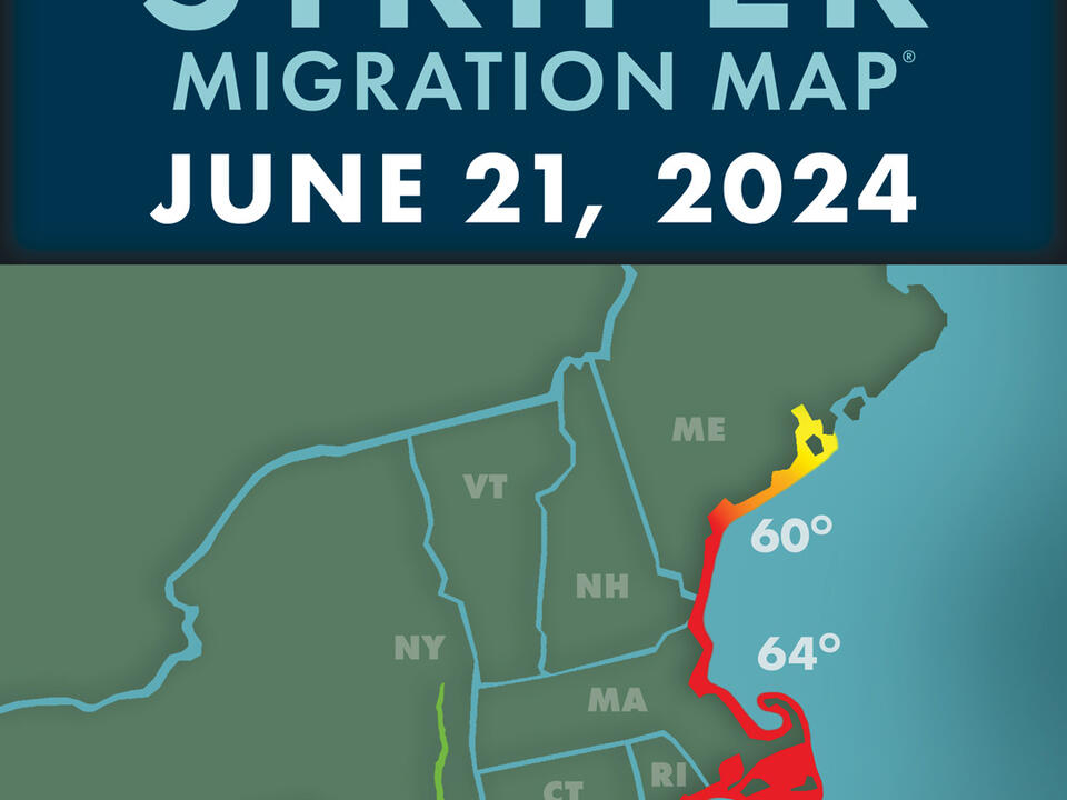 Striper Migration Map – June 21, 2024