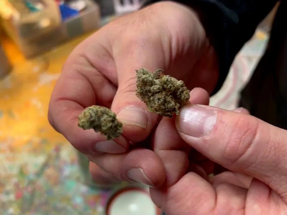 Cannabis social equity license preapproval window now open in MN