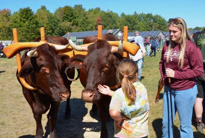 Maine's Common Ground Country Fair draws thousands to Unity to ...