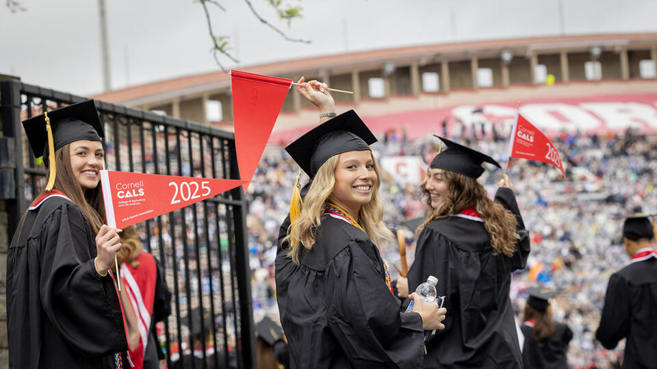 Cornell prepares for 2026 Commencement, Convocation - NewsBreak