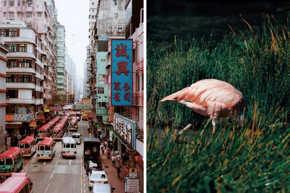 Pia Riverola’s Latest Photo Book Will Make You Rethink the Everyday ...