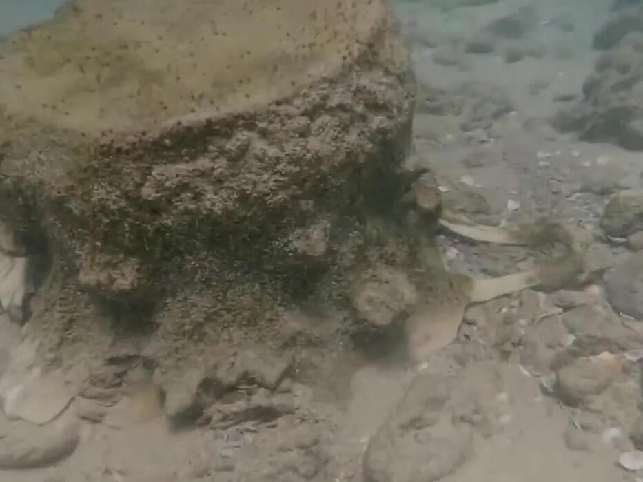 Scientists discover 500,000-year-old artefact which ‘rewrites early ...