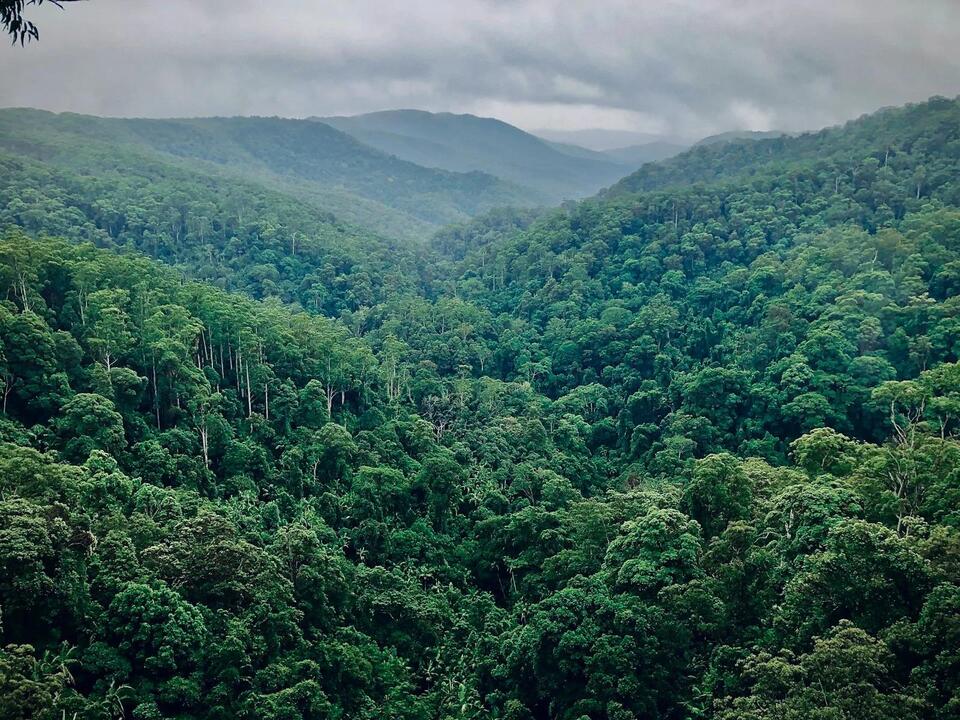The Hidden Aquifers of the Amazon: Why Water May Be Its Most Valuable ...
