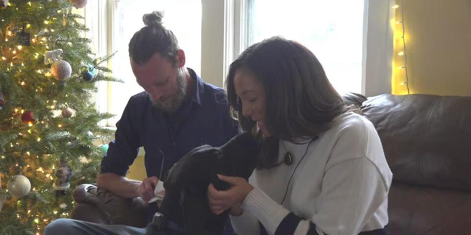 Two-year-old dog makes miraculous recovery after accident; owners ...