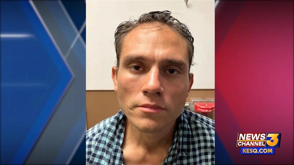 Indio resident pleads guilty to four felony counts stemming from police ...