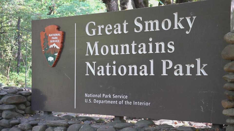 GSMNP: Cades Cove Loop Road to be closed for 'hazard tree removal ...