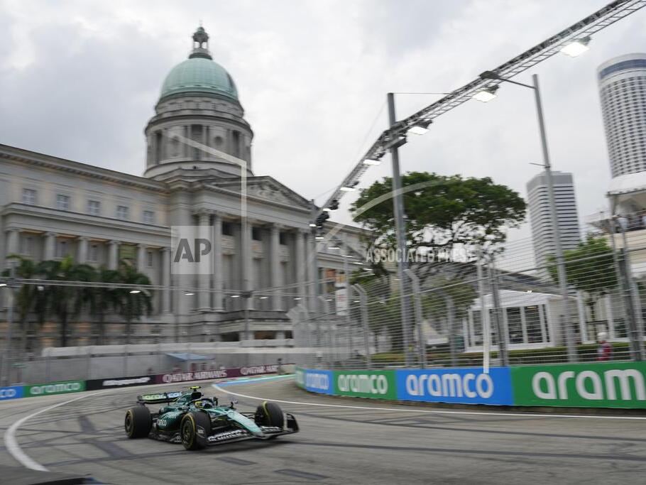 Lizard on track halts Formula 1 practice in Singapore