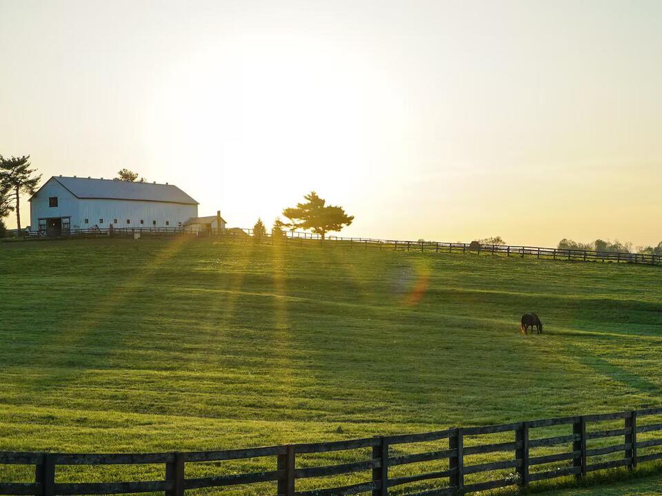 East Texas Ag News: Pastures looking great, winter forages finishing strong