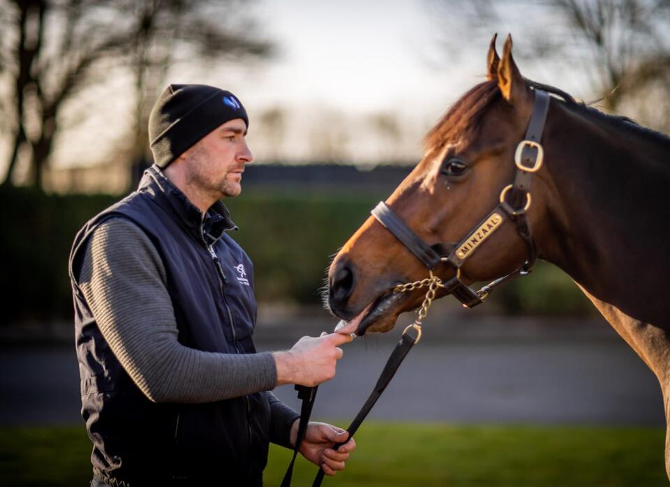 Minzaal Odds-On For FSS Honours With Paddy Power Saying 'It's His Title ...