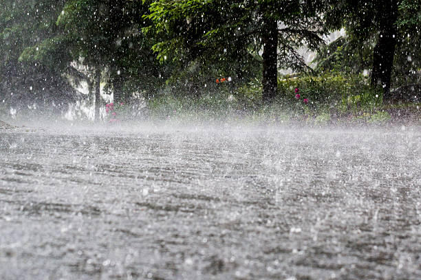 TENNESSEE | Obion County Under State Of Emergency After Levee Failure ...