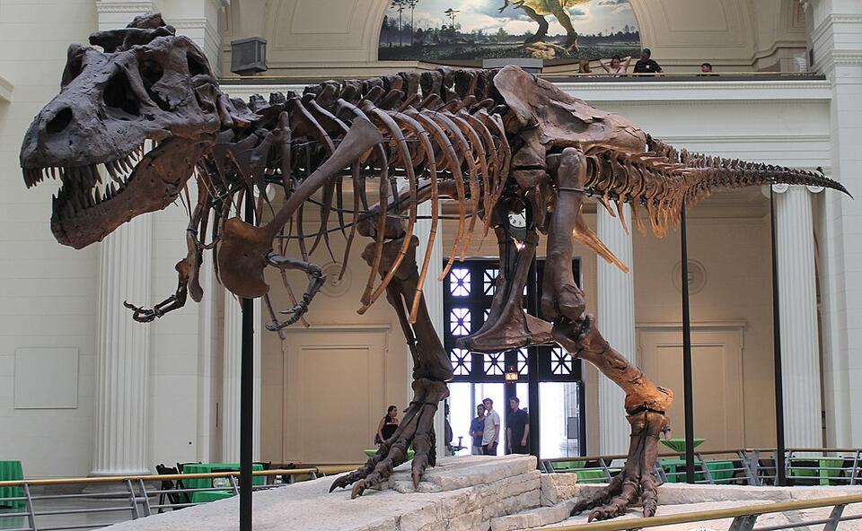 The Skeleton That Sparked a Lawsuit—and a Scientific Debate - NewsBreak