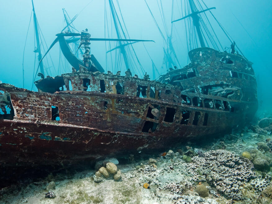 Treasure Hunters Make Amazing Discovery in 300-Year-Old Shipwreck
