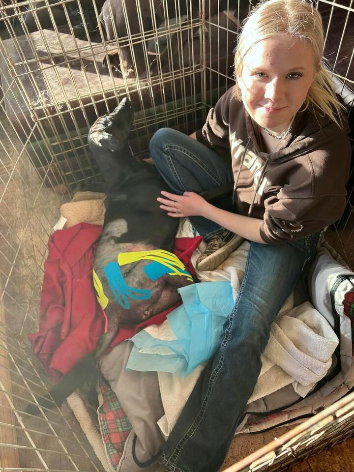 Juno is Doing Great! - NewsBreak