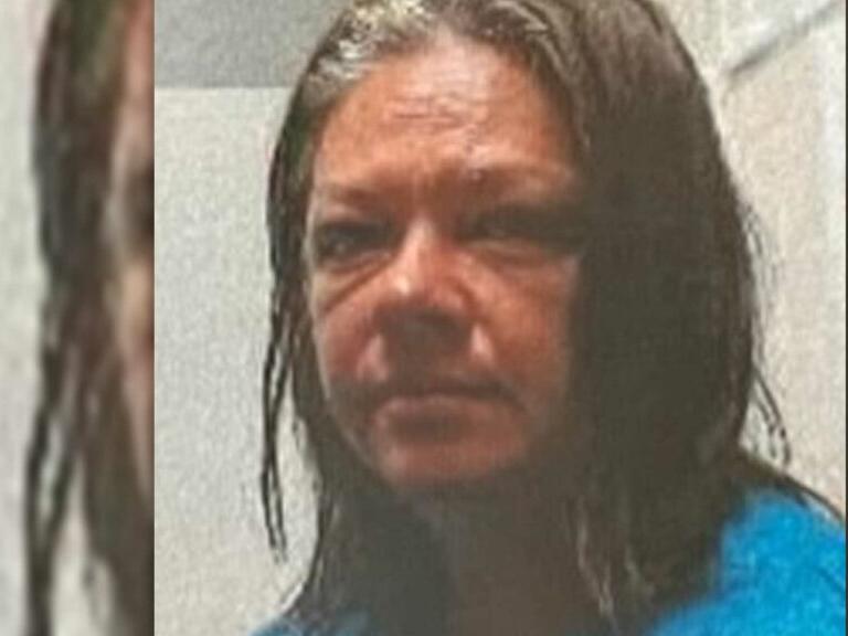 Delaware State Police Issue Gold Alert For Missing Newark Woman Lisa Flade