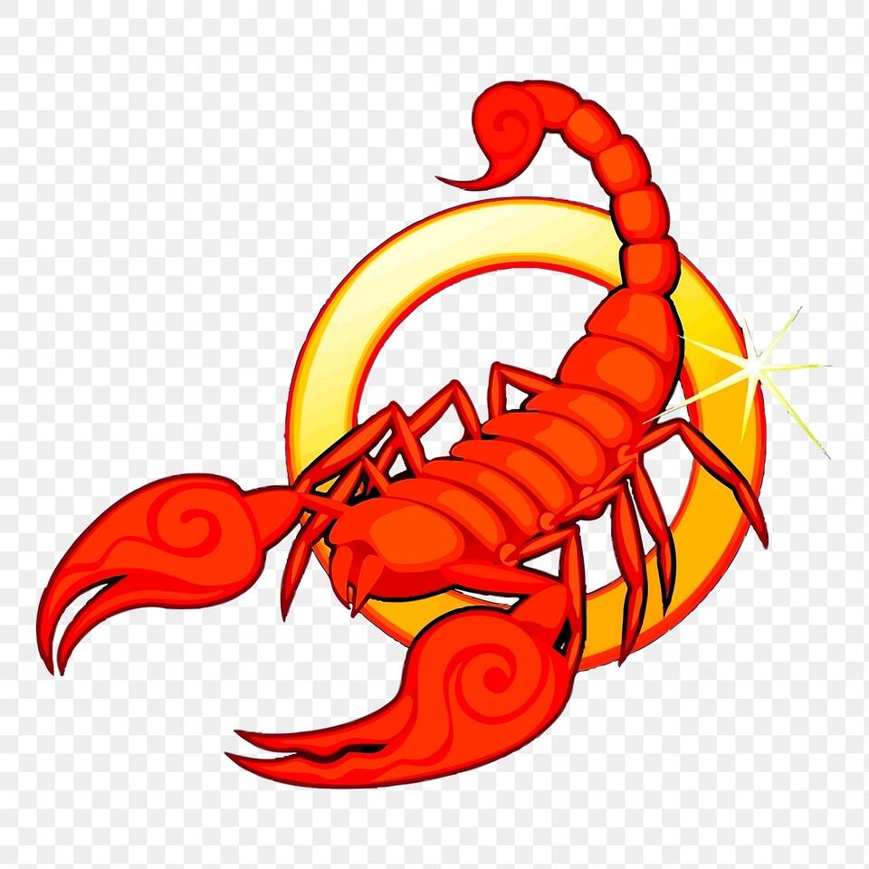 5 Zodiac Signs That Must Release The Past To Grow Stronger - NewsBreak
