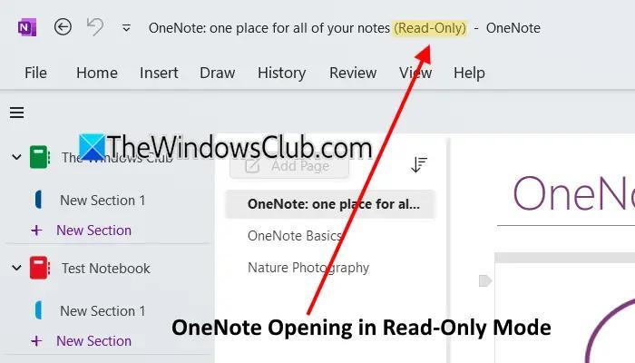 OneNote Opening in Read-Only Mode [Fix] - NewsBreak