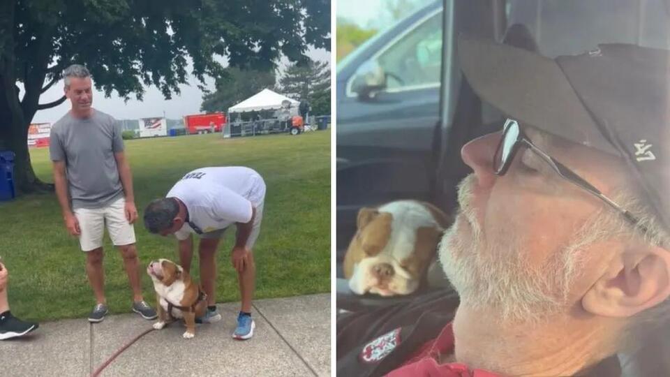 “My Husband Told Me He Was Taking The Dog For A Walk…” - NewsBreak