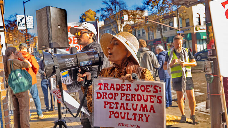 Protest at Trader Joe’s Over Supplier Tied to Jailing of Animal Rescuer ...