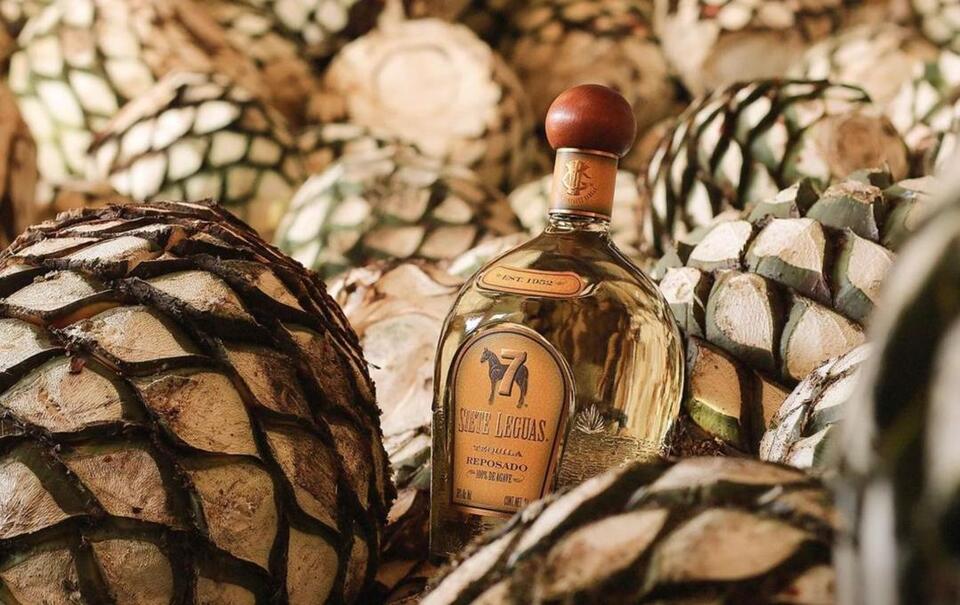 8 Bartenders Reveal Their Favorite Additive-Free Tequilas for Making ...