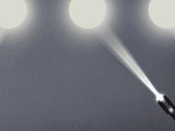 The Visual Rabbit Illusion: Scientists Invent Trippy New Take On ...