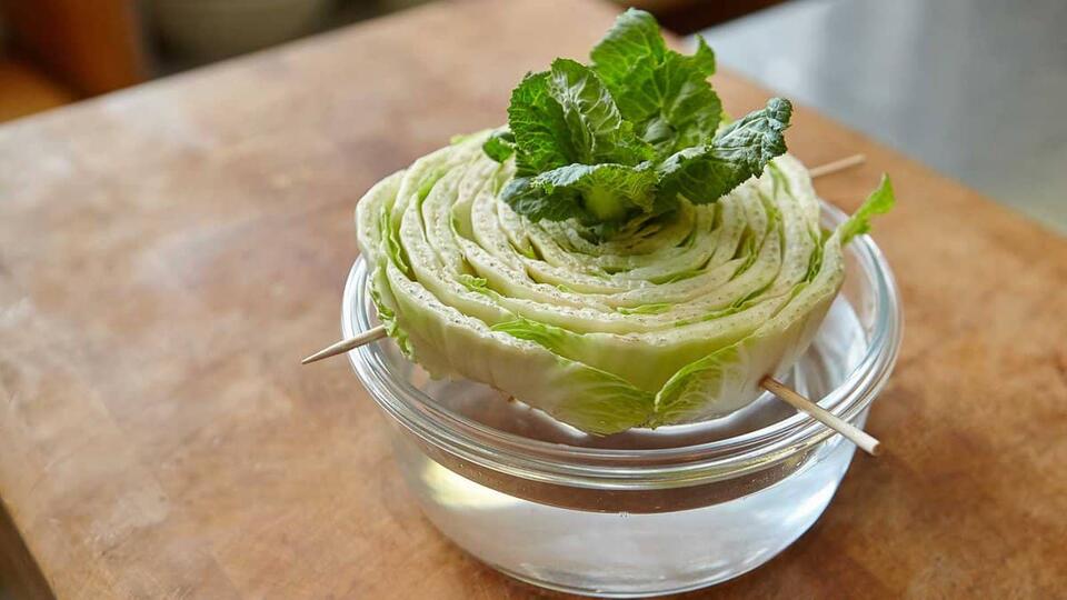 13 Foods You Can Regrow Without A Garden - NewsBreak