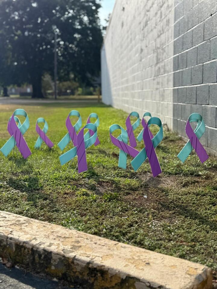 September is Suicide Prevention Awareness Month: Florida Parishes Human ...