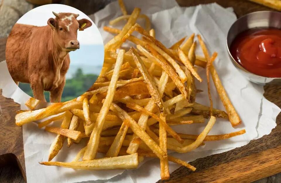 Delicious! Huge Fast Food Chain In Texas Will Have Beef Tallow Fries ...
