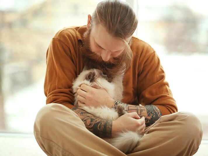 How Cats Help Humans Across the World Get Through Lockdowns & Life