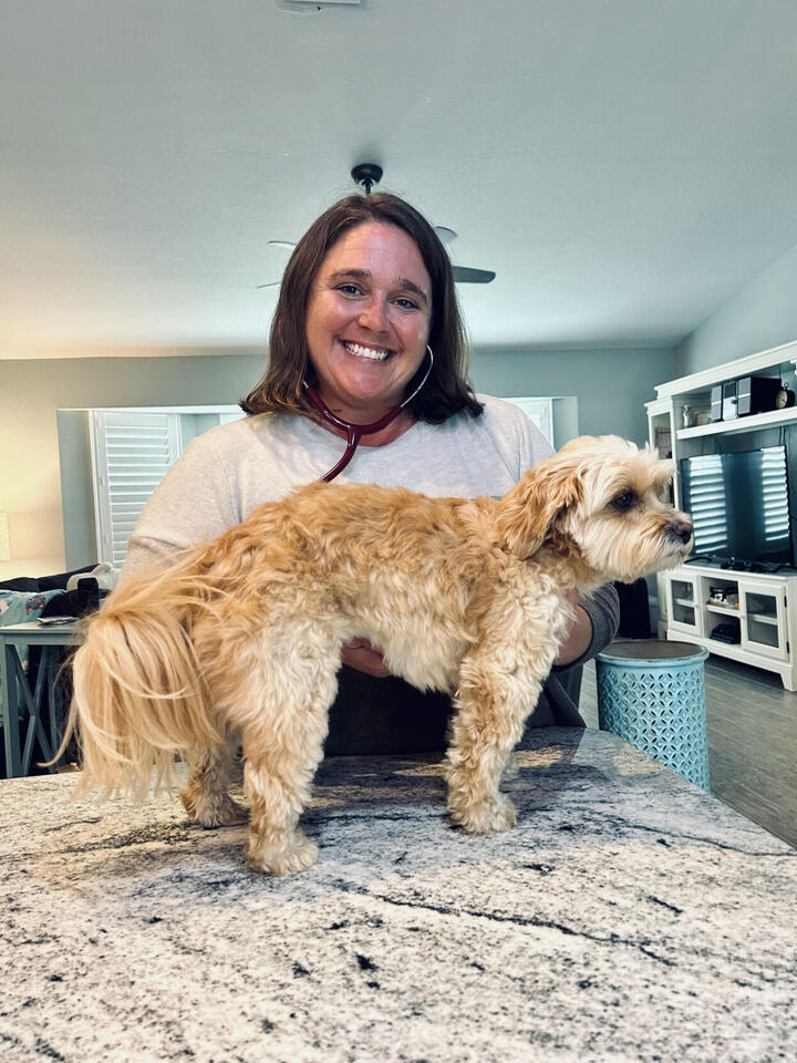 RAINBOW BRIDGE: Crossing the rainbow bridge at home - NewsBreak