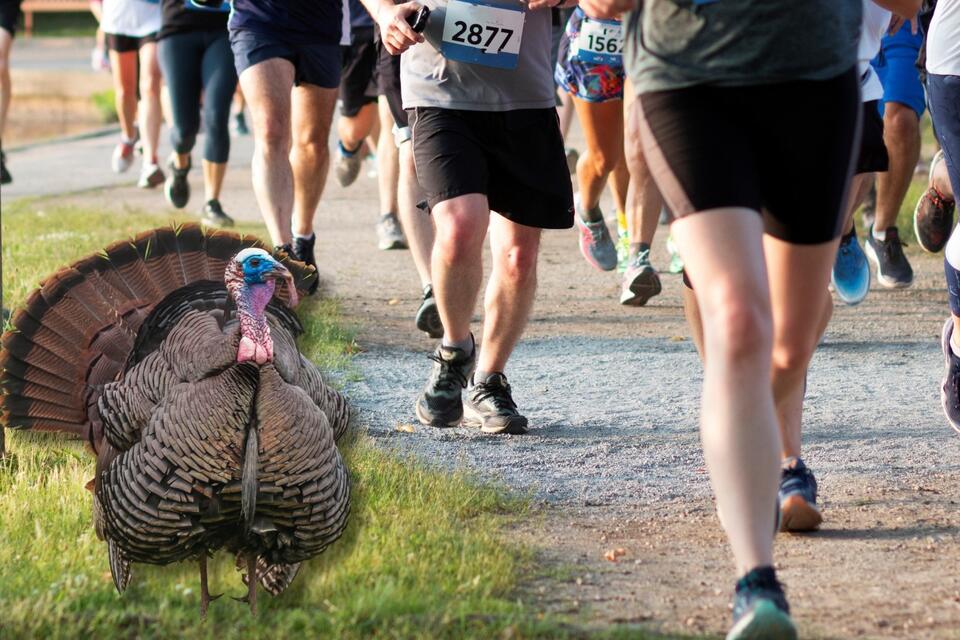 12th Annual Turkey Trot 5K & Fun Run on Thanksgiving Day - NewsBreak