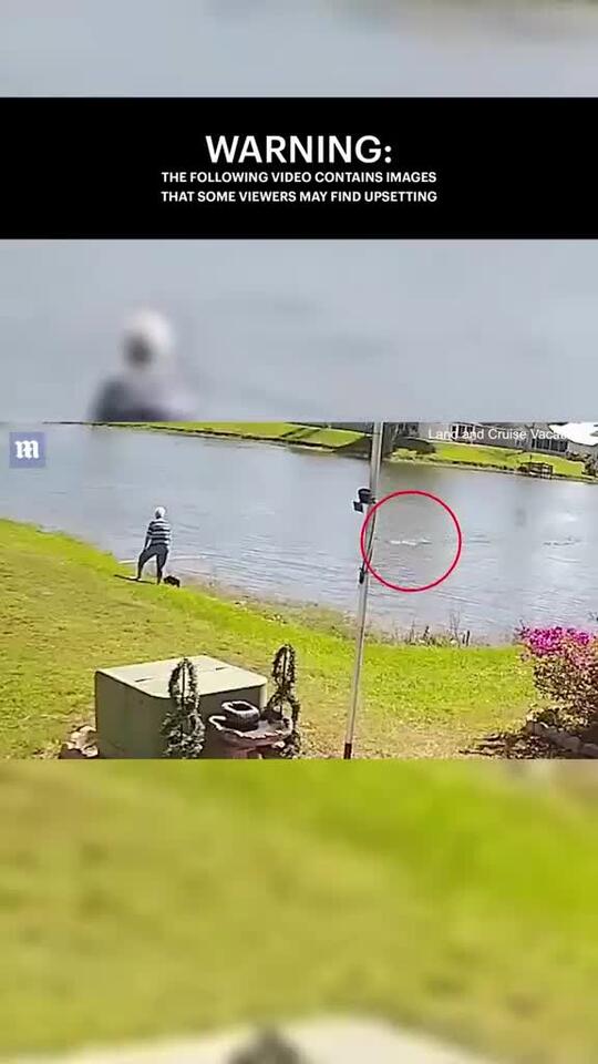 The family of an 85-year-old woman and grandmother who was dragged to ...