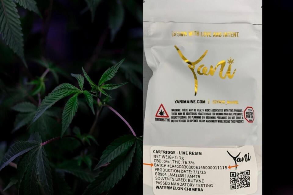 Maine Recall of a Cannabis Vape Cartridge Due to Pesticides - NewsBreak
