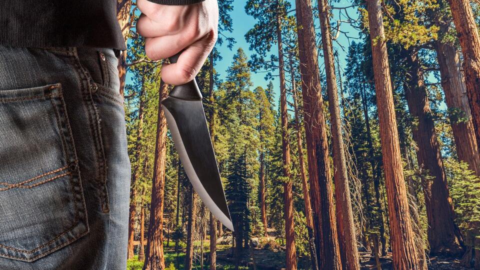A retired forest agent says violent criminals, predators, and even ...