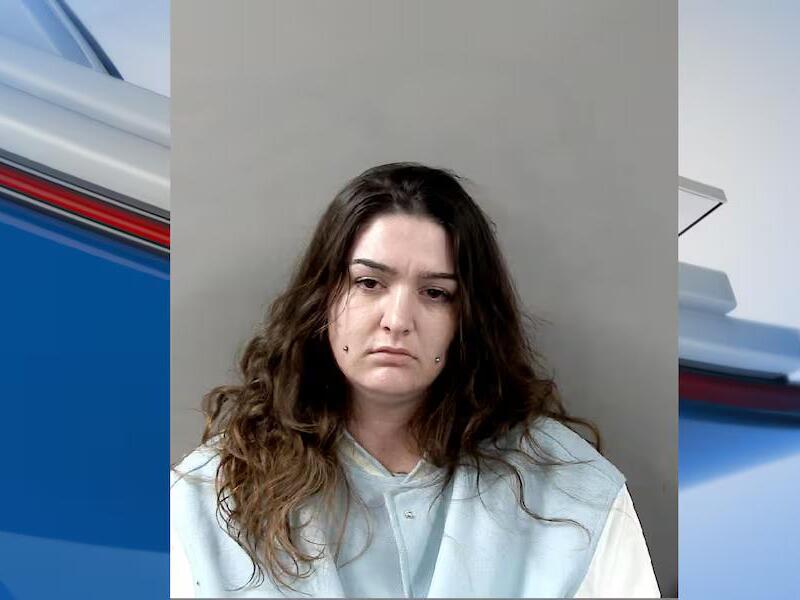 Mother of Lansing 2-year-old killed in accidental shooting enters plea ...