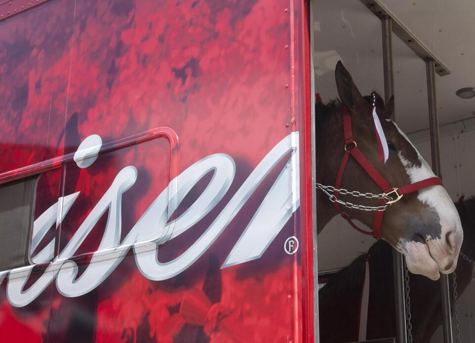 WATCH: Budweiser Releases Nostalgic New Super Bowl Ad - NewsBreak