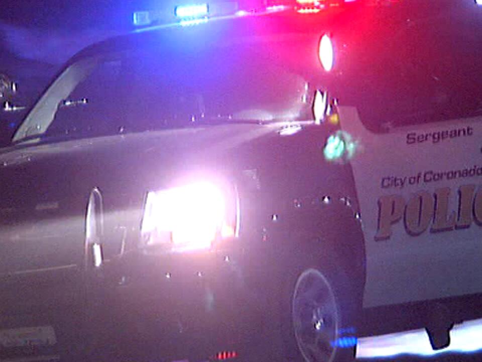 Man arrested for ramming van into Coronado police cars, attacking K9 ...