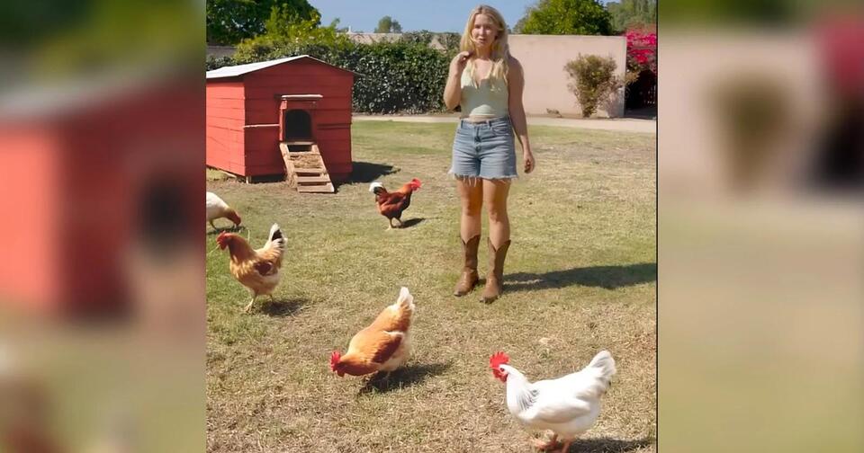 Farm Video Challenges Viewers to Figure Out What is AI and What is Real ...
