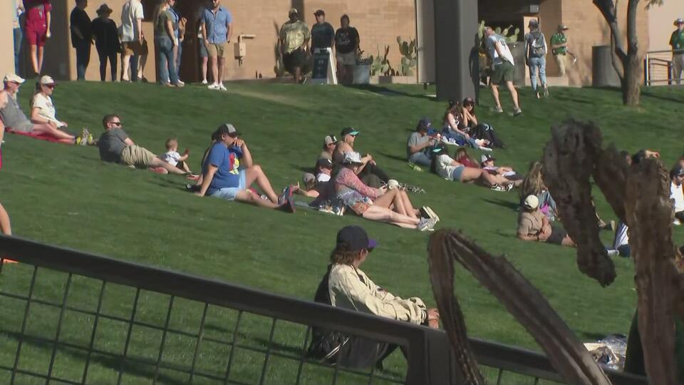 D-backs spring training at Salt River Fields - NewsBreak