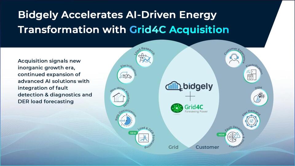 Bidgely Accelerates AI-Driven Energy Transformation with Grid4C ...
