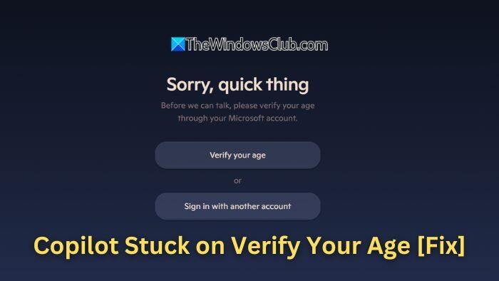 Copilot stuck on Verify your age [Fix] - NewsBreak