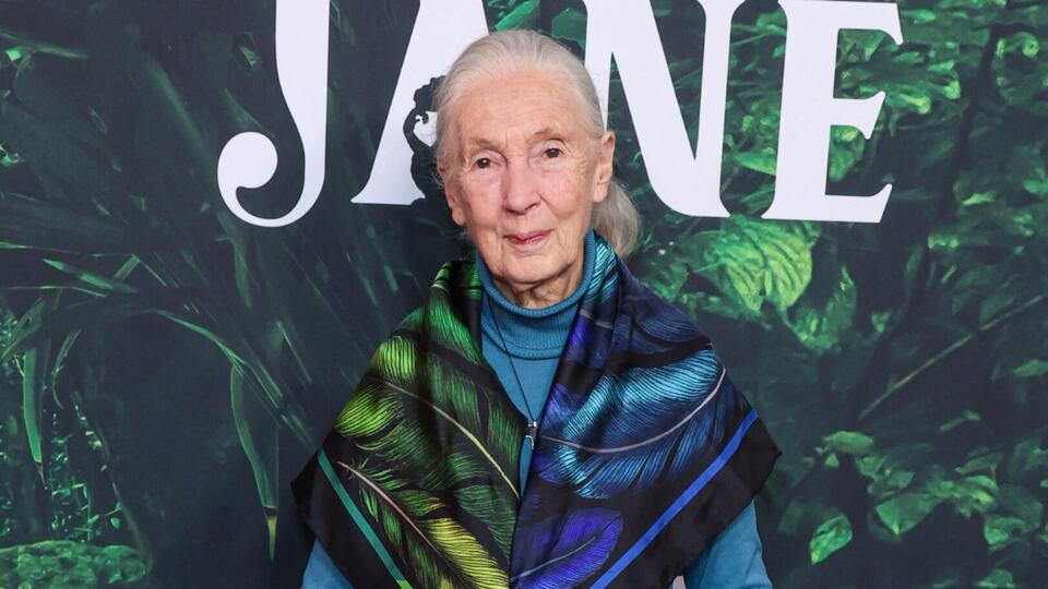 Jane Goodall, Beloved Champion of Chimpanzees and the Natural World ...
