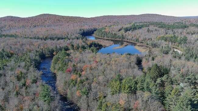 NY adds 965 acres near Cranberry Lake to Adirondack Forest Preserve ...