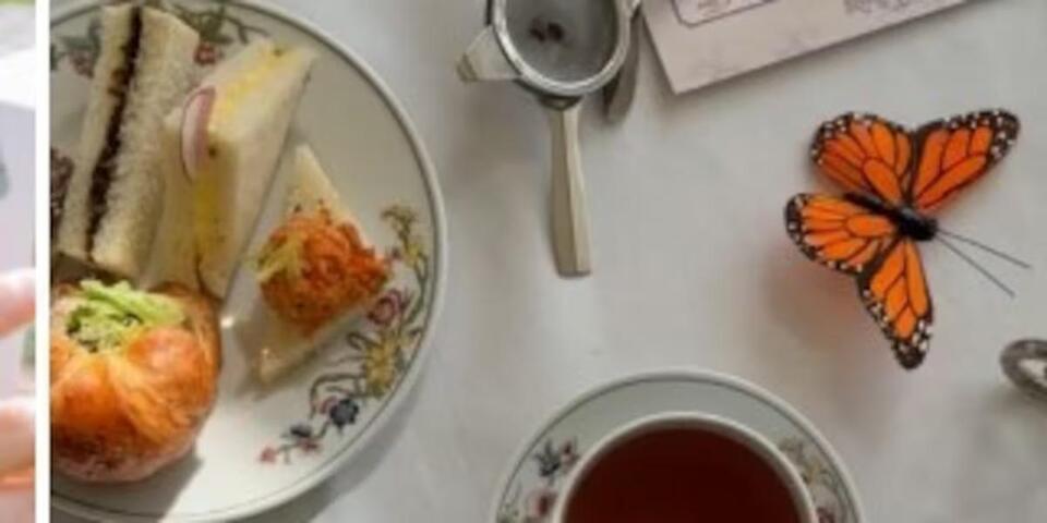Butterfly-themed tea experience aims to protect endangered Monarchs - NewsBreak