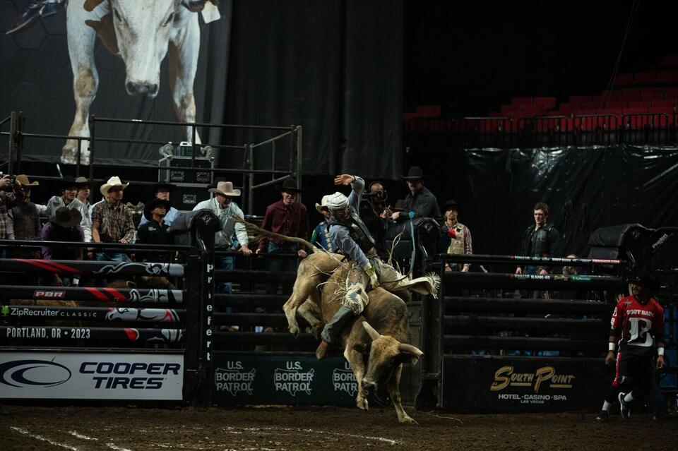 THINGS TO DO THIS WEEK: No bull! It's a new year! - NewsBreak