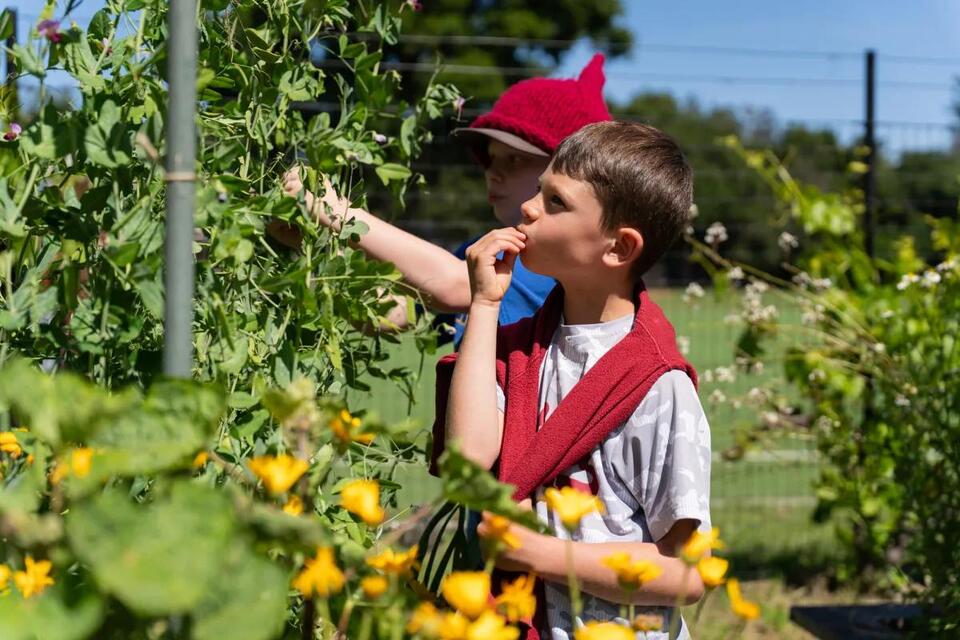 Green thumbs and garden salads: Woodside students blossom in school’s ...